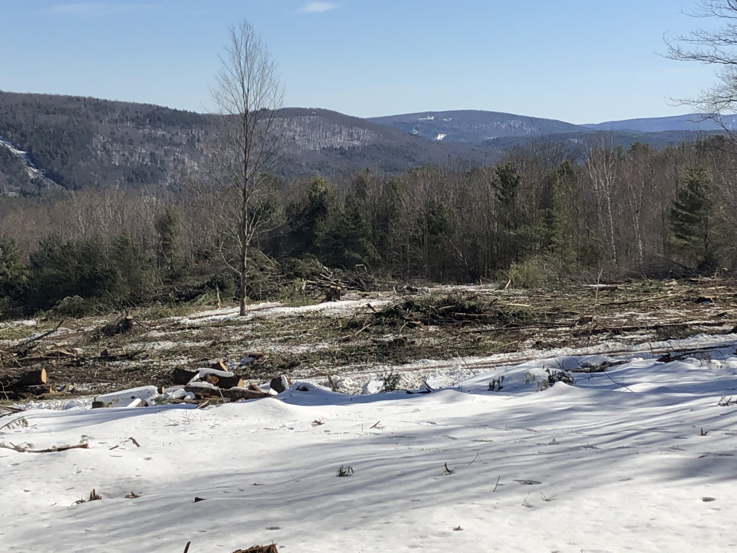 Lot 21 at Deer Ridge - Deer Ridge